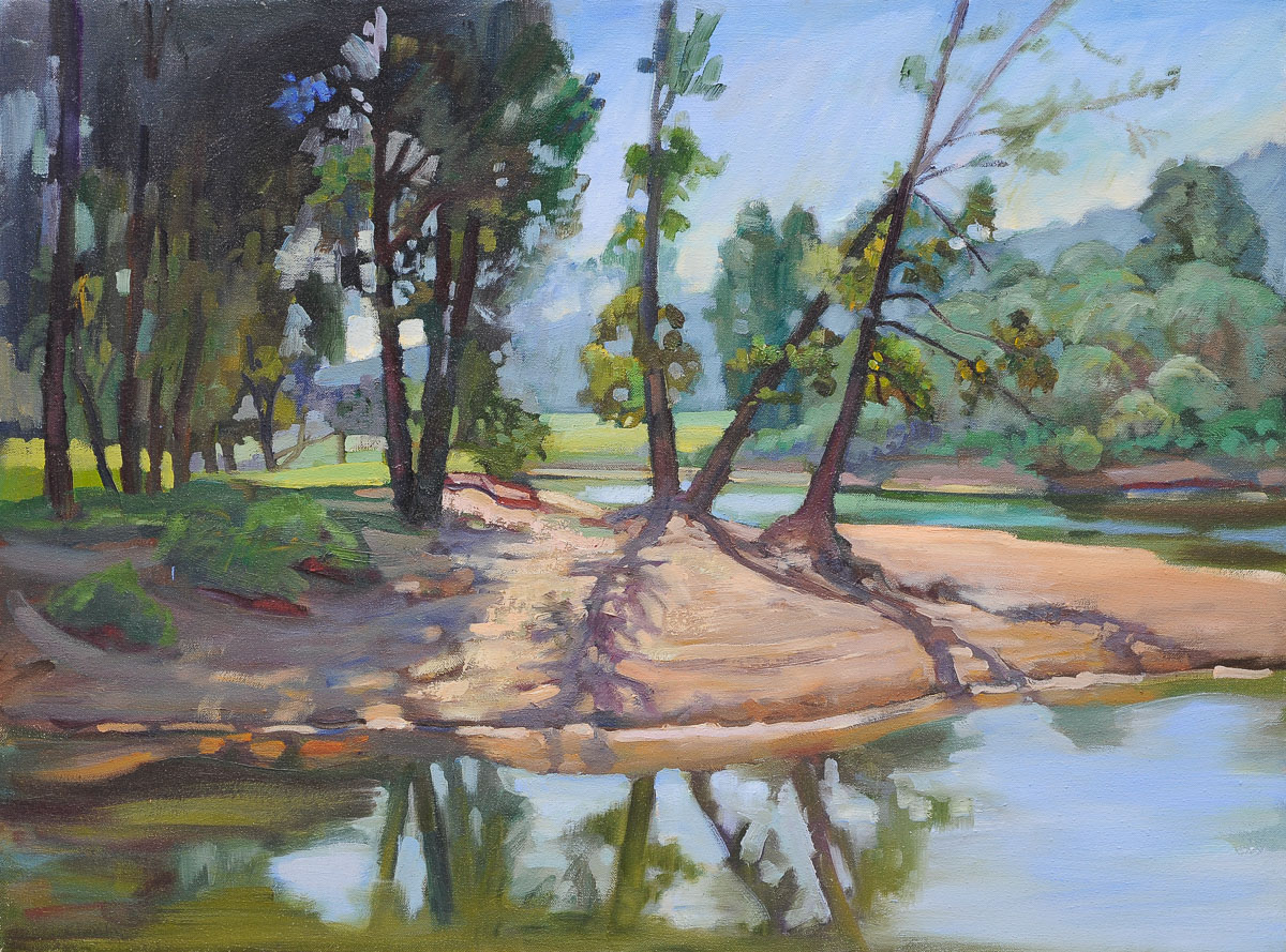 Sue Perry - Paintings: Home